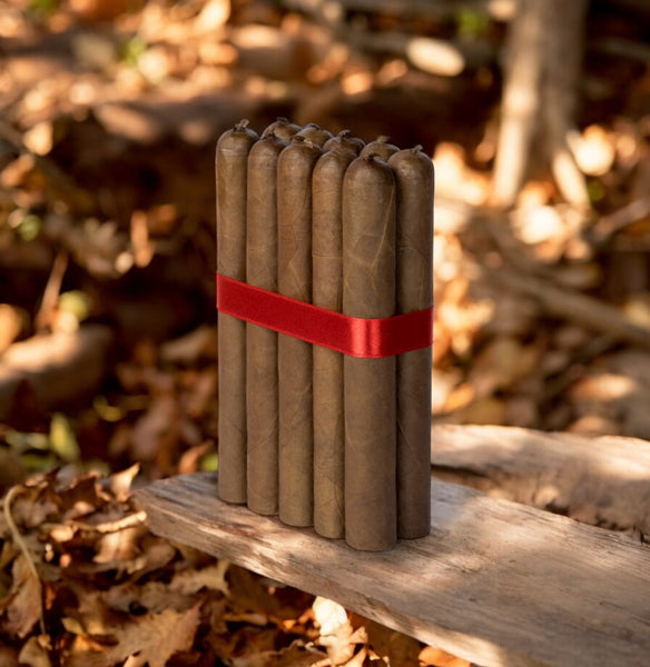 6 x 56 Behike Habano - Bundle of 10 and 25 - Tabacalera Aragon