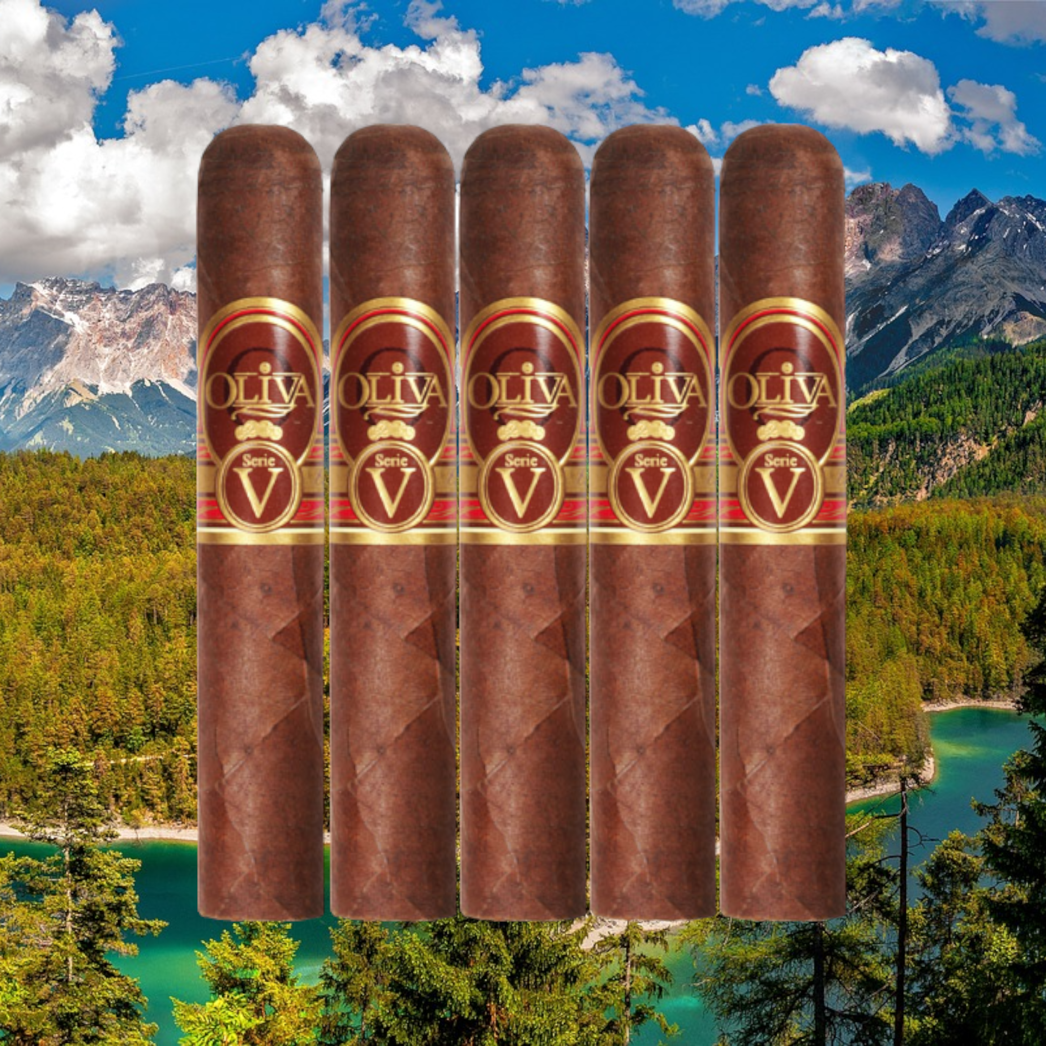 Oliva Serie V Double Robusto 5" * 54-Sampler of 5 - Tabacalera Aragon