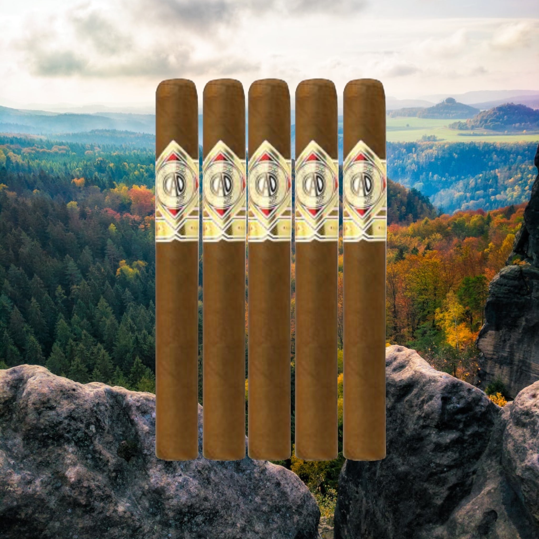 CAO Gold Label Corona Gorda 6"1/2 * 50-Sampler of 5 - Tabacalera Aragon