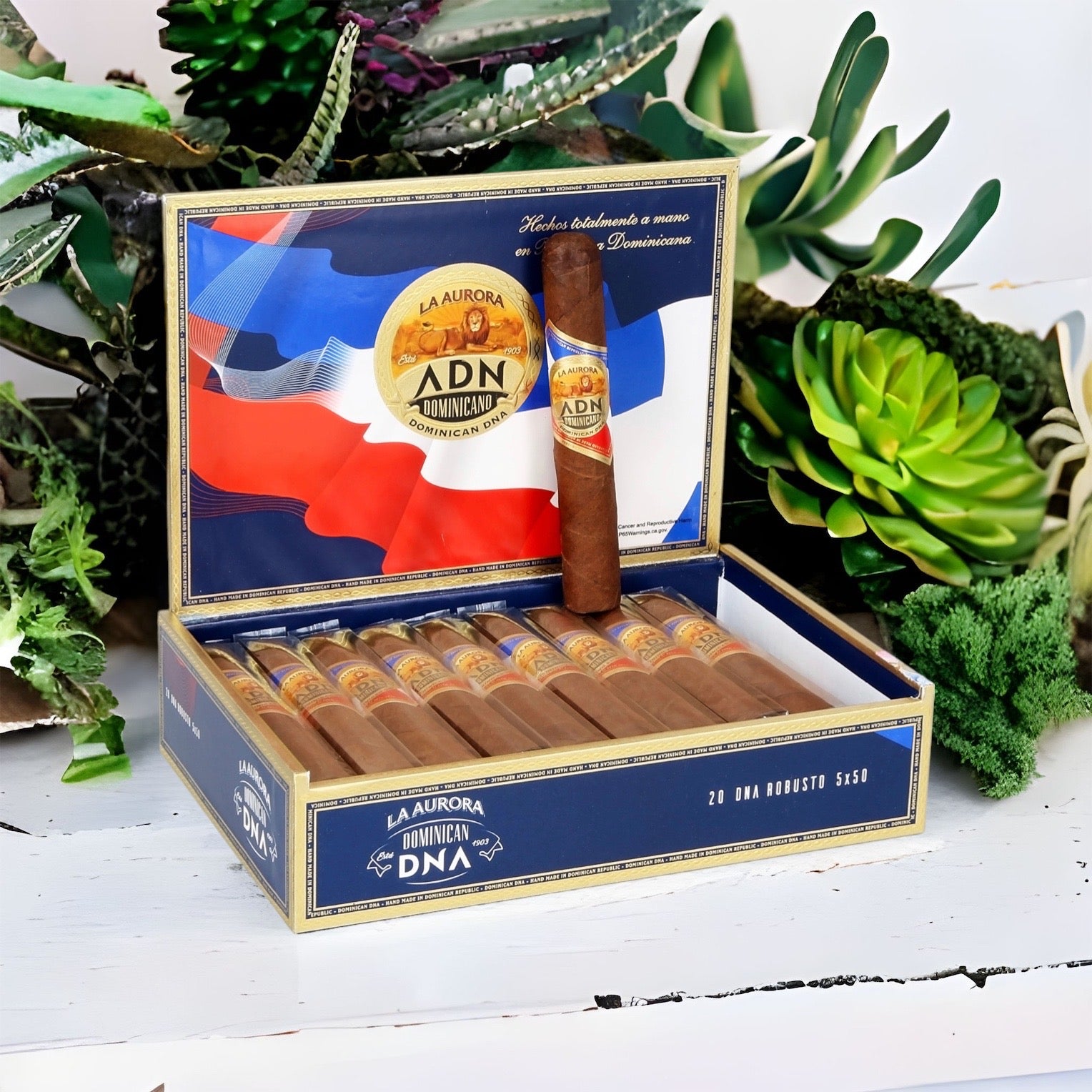 La Aurora Dominican DNA Robusto 5" * 50 - Tabacalera Aragon
