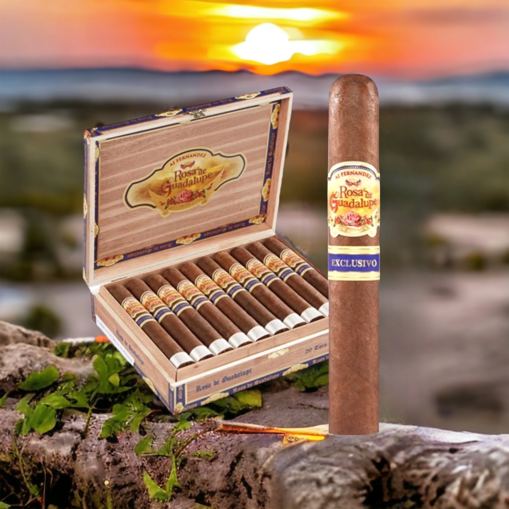 AJ Fernandez Rosa De Guadalupe Toro 6.2"x54 - Tabacalera Aragon